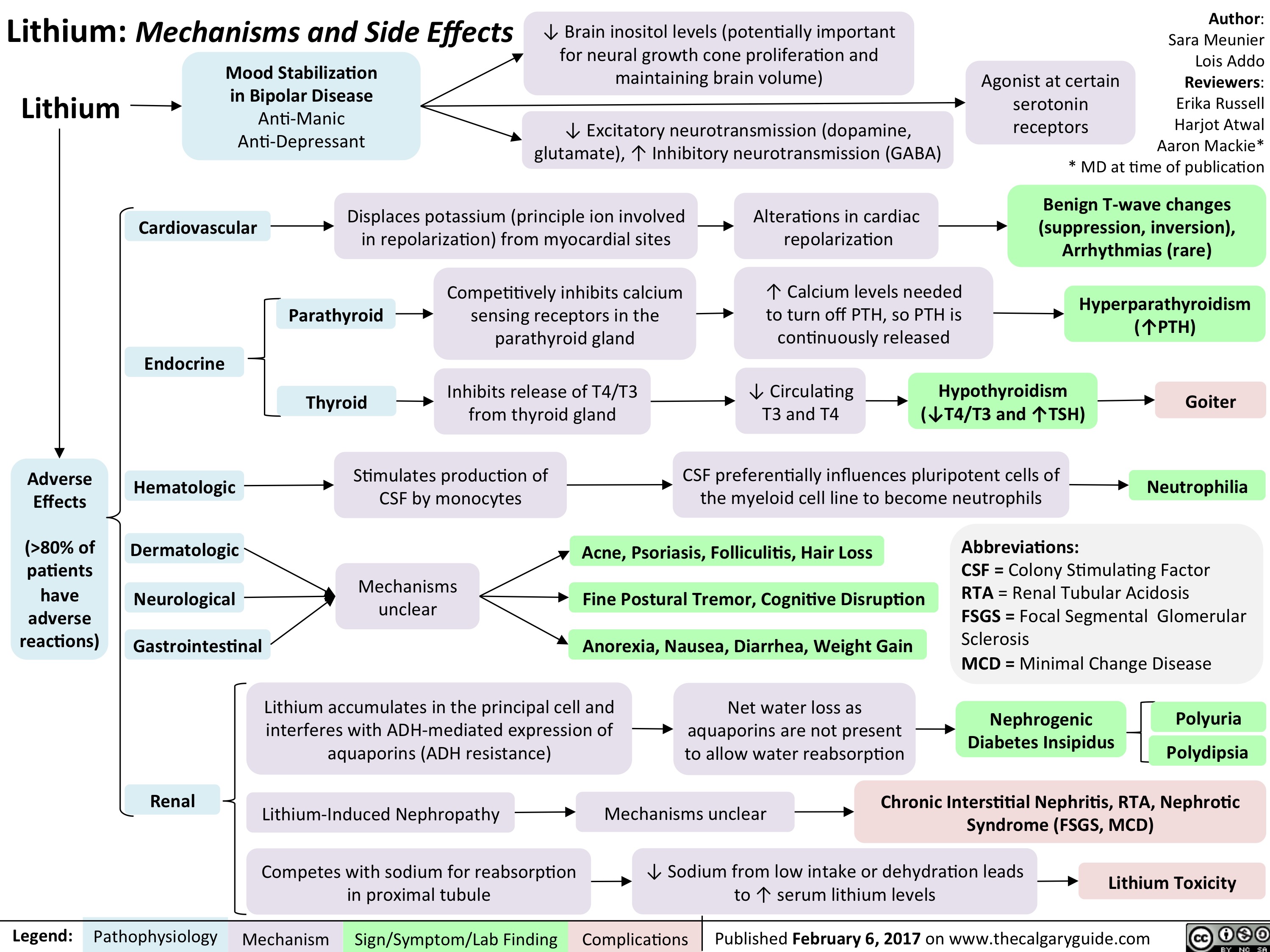 Lithium Mechanisms And Side Effects Calgary Guide