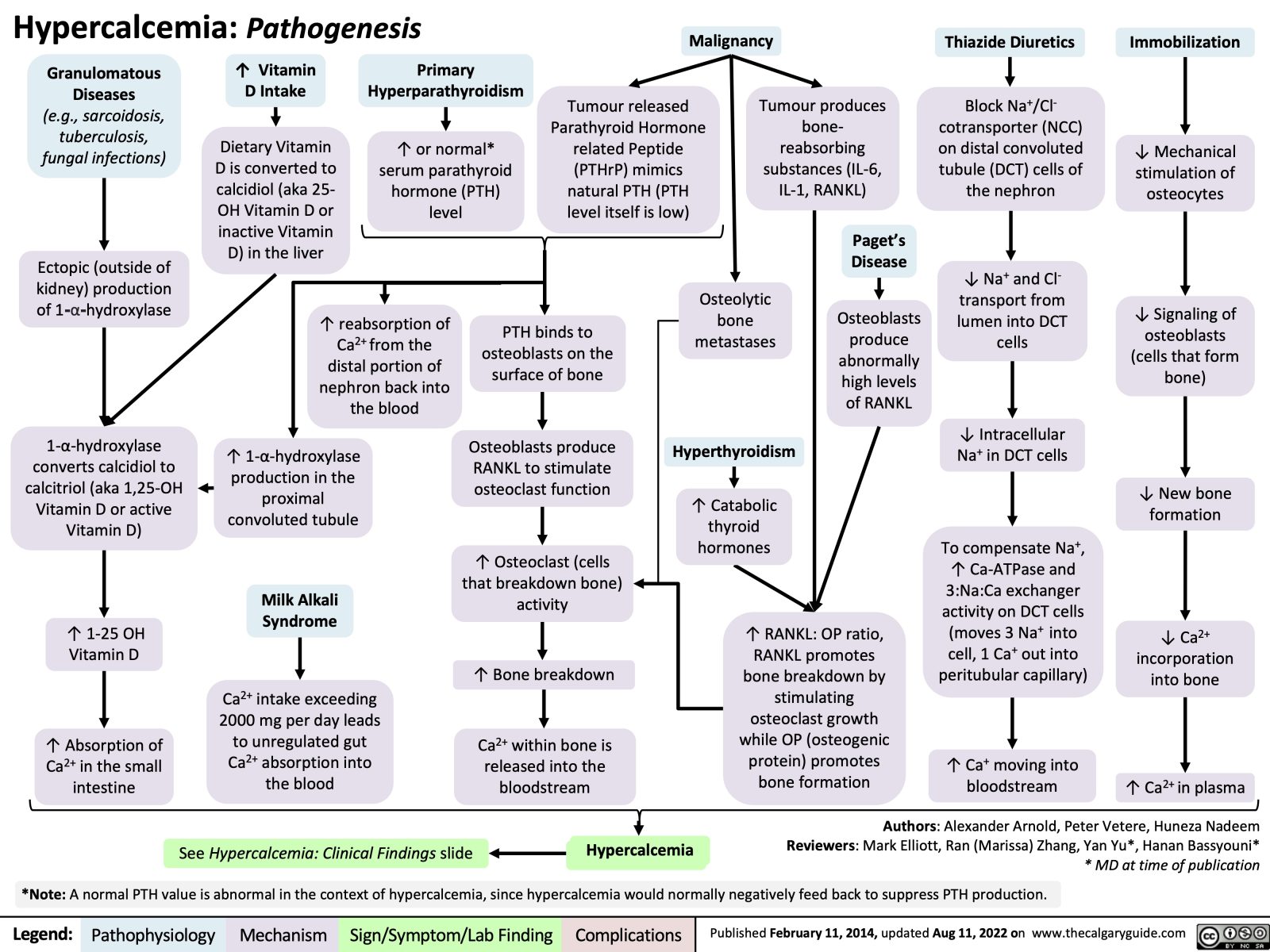 Hypercalcemia: Pathogenesis | Calgary GuideCalgary Guide