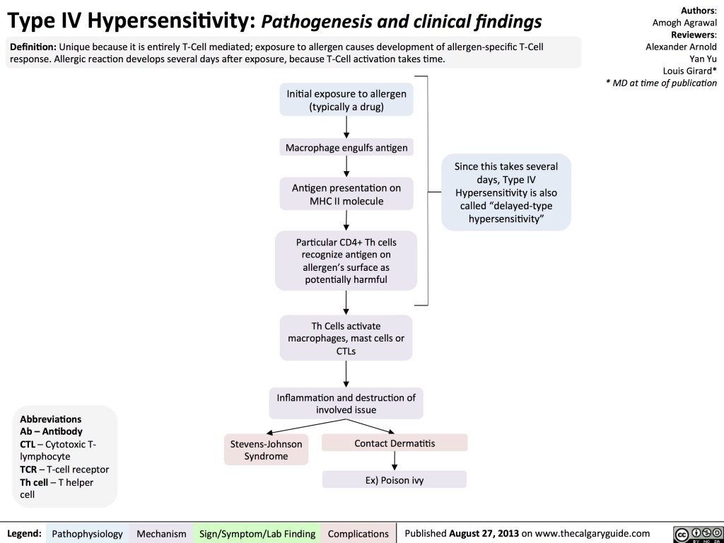 Type IV Hypersensitivity: Pathogenesis and clinical findings | Calgary ...