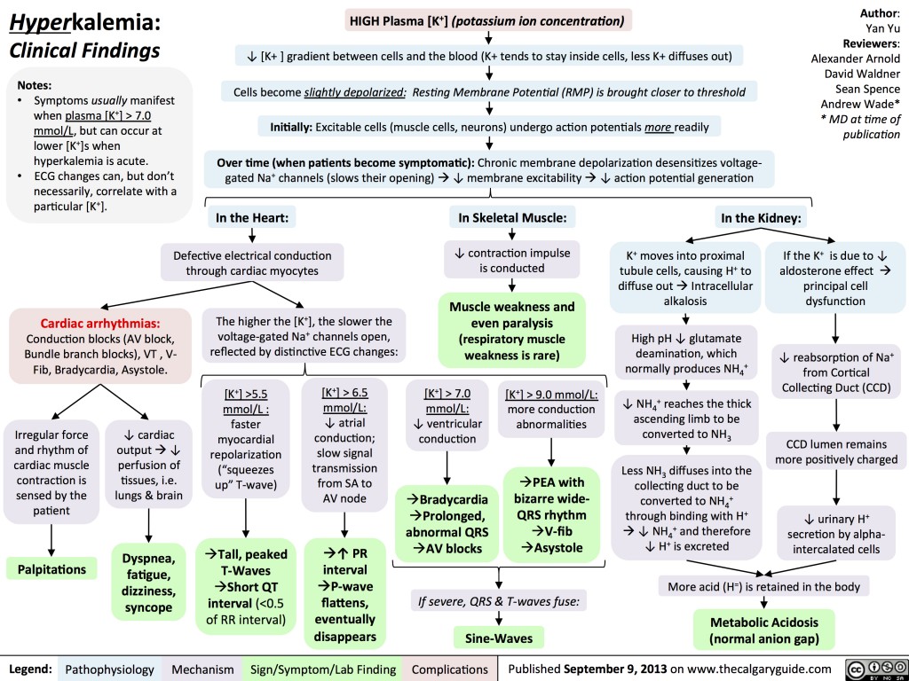 Hyperkalemia Clinical Findings Calgary Guide