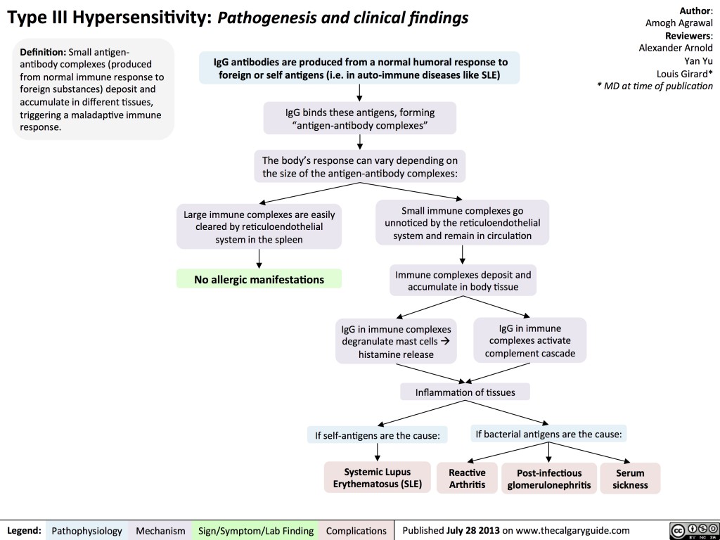 Type III Hypersensitivity: Pathogenesis and clinical findings | Calgary ...