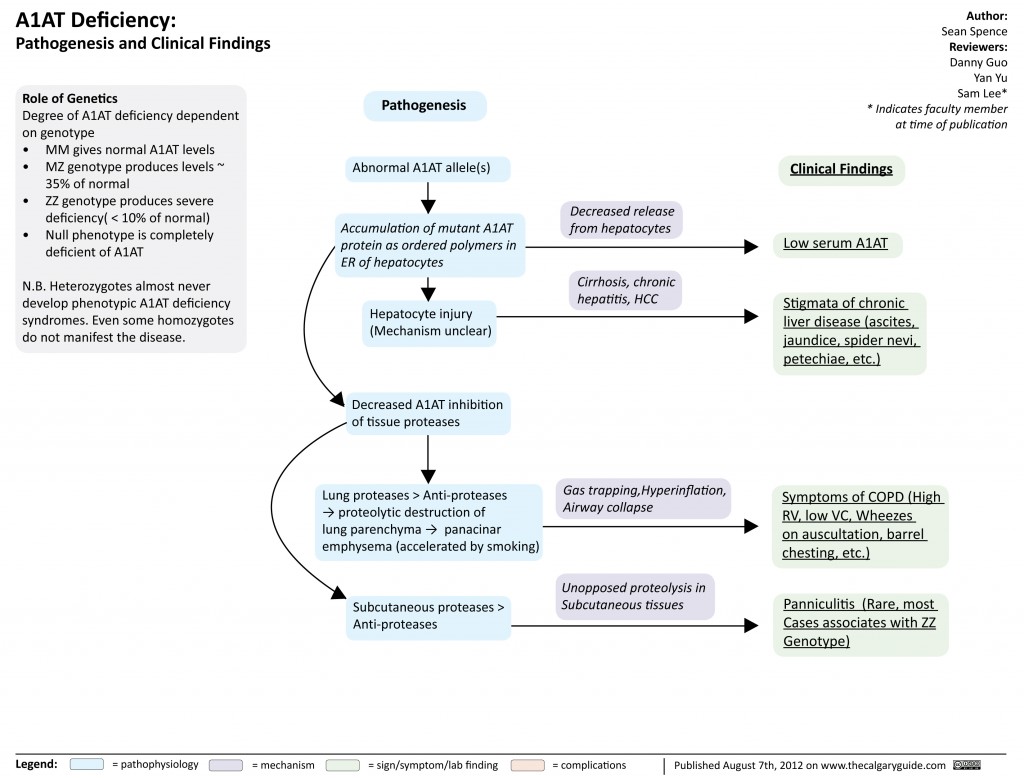 A1ATDeficiency | Calgary Guide