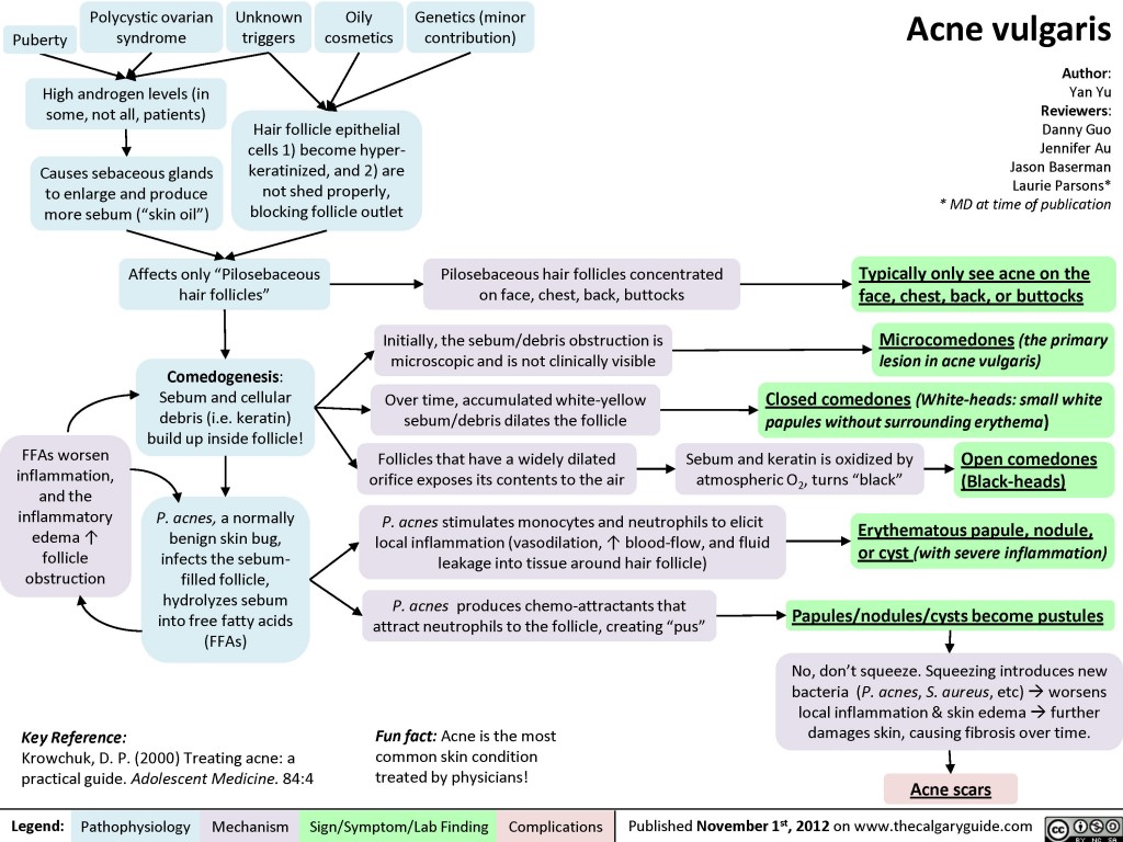 Acne Vulgaris: Pathogenesis and Clinical Findings | Calgary ...