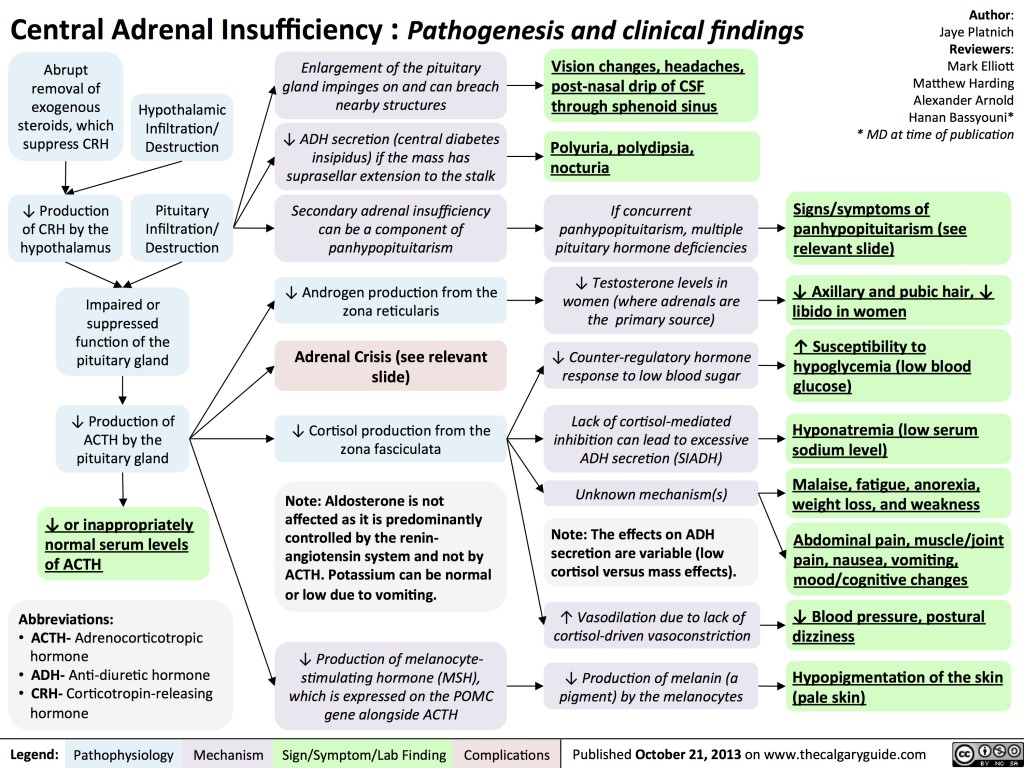 Central Adrenal Insufficiency: Pathogenesis and Clinical Findings ...