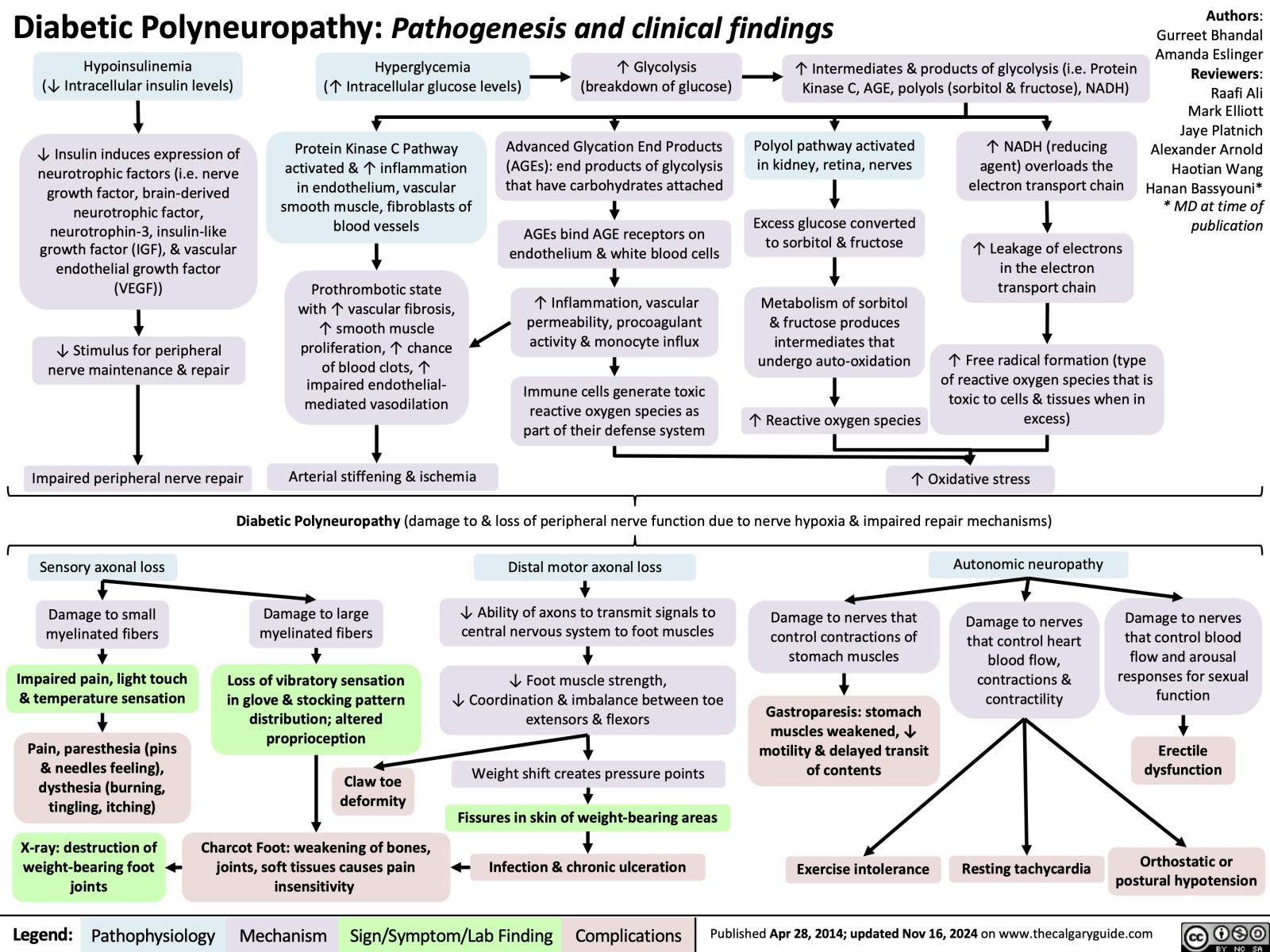 Diabetic Polyneuropathy: Pathogenesis and Clinical Findings | Calgary GuideCalgary Guide