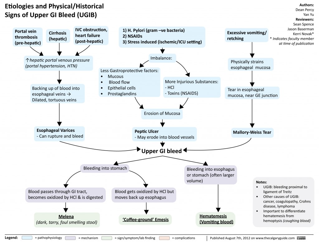 Upper GI Bleed: Etiologies and Clinical Findings | Calgary GuideCalgary ...