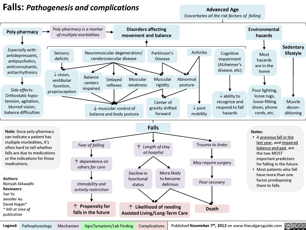 Falls: Pathogenesis and Complications | Calgary Guide