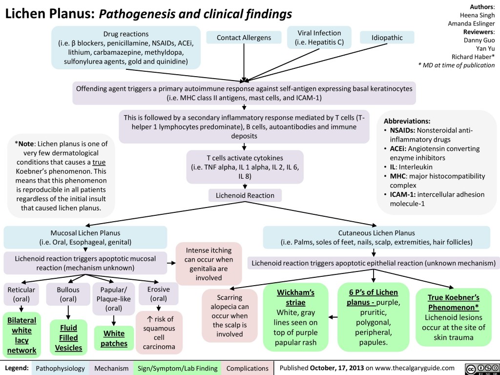 Lichen Planus: Pathogenesis and clinical findings | Calgary ...