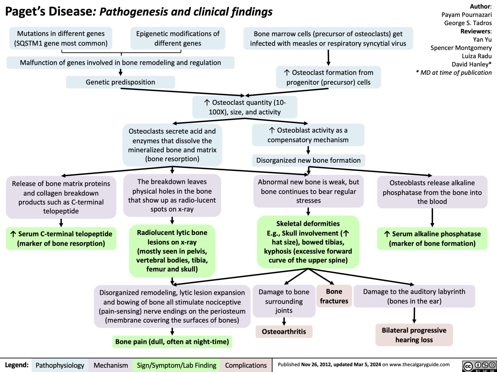 Pagets Disease pathogenesis and clinical findings | Calgary ...