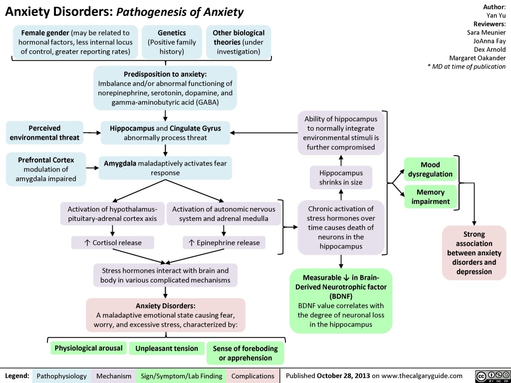 Pathogenesis of Anxiety Disorders | Calgary Guide