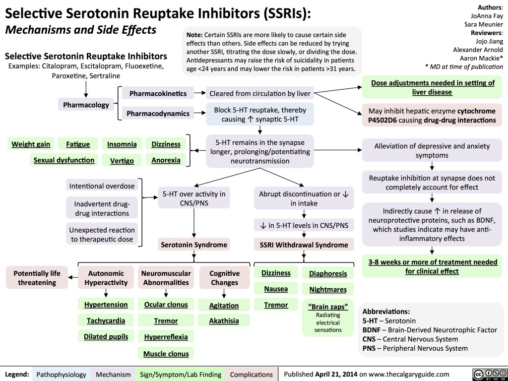 Selective Serotonin Reuptake Inhibitors: Mechanisms and Side Effects | Calgary Guide