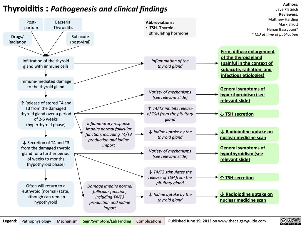 Thyroiditis: Pathogenesis and clinical findings | Calgary Guide