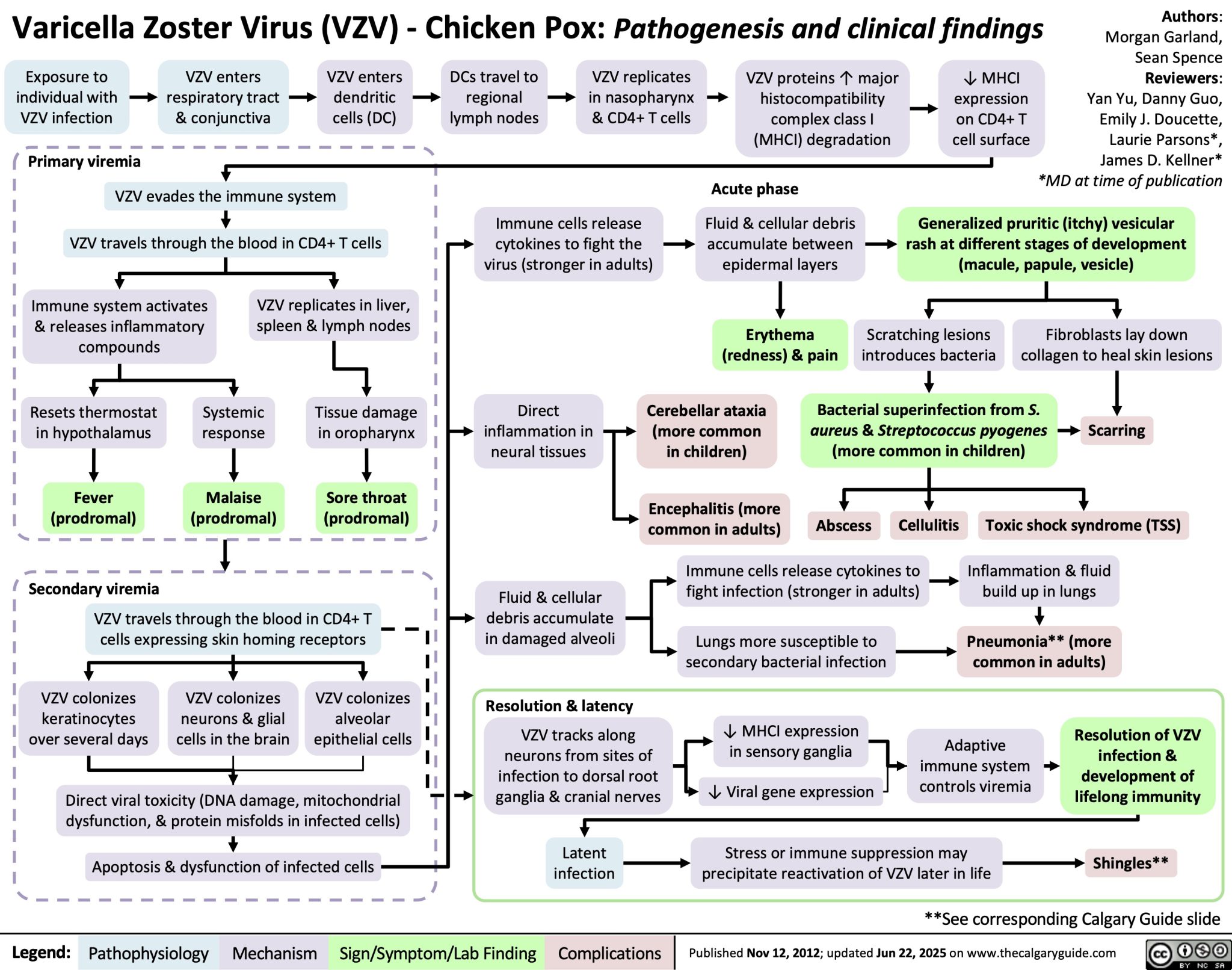 Varicella Zoster Virus | Calgary Guide