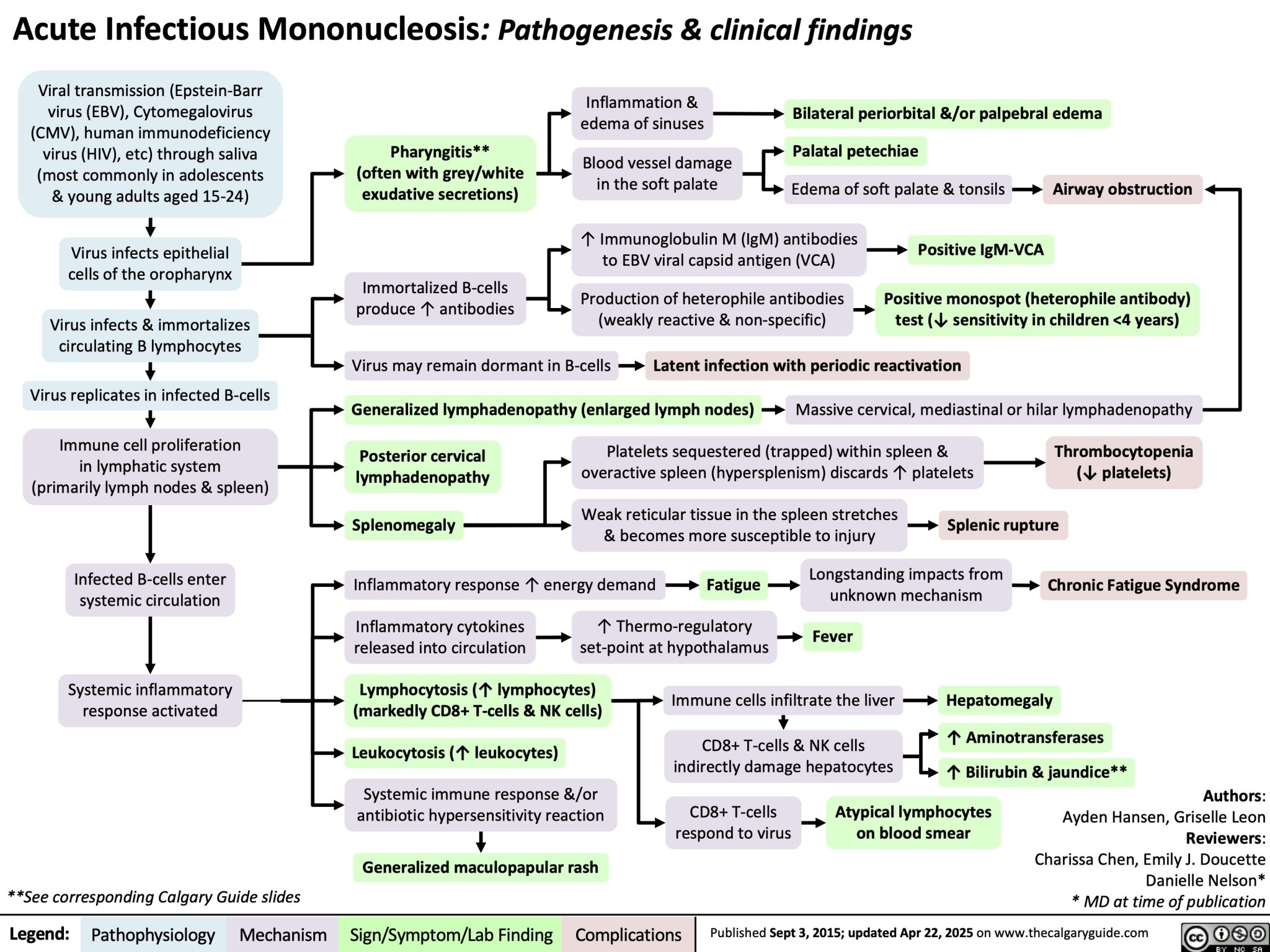 Acute Infectious Mononucleosis: Pathogenesis and clinical findings ...