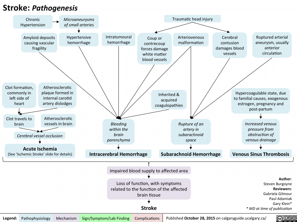 Stroke Pathogenesis Calgary Guidecalgary Guide