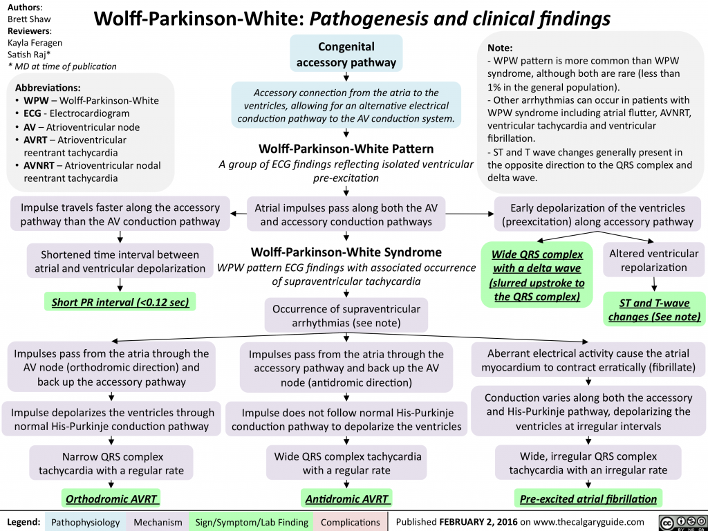 Wolff-Parkinson-White: Pathogenesis and clinical findings | Calgary Guide