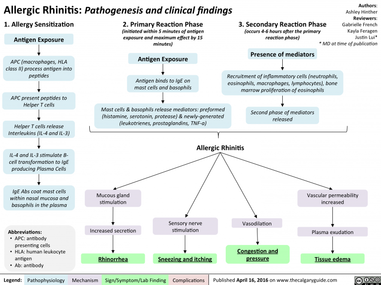 Allergic Rhinitis: Pathogenesis and clinical findings | Calgary ...