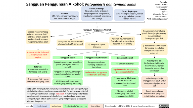 Alcohol Use Translated | Calgary Guide