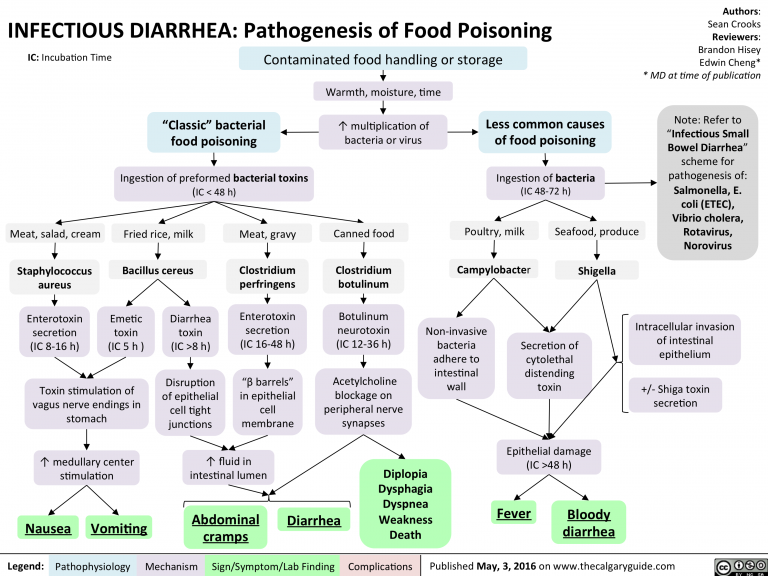 Infectious Diarrhea: Pathogenesis of Food Poisoning | Calgary ...