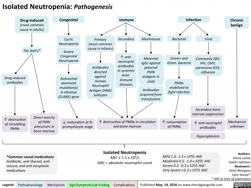 Isolated Neutropenia | Calgary Guide