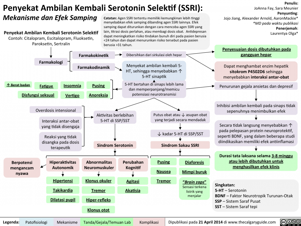Penyekat Ambilan Kembali Serotonin Selektif (SSRI): Mekanisme dan Efek ...