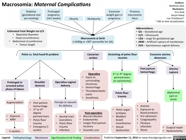 Macrosomia: Maternal Complications | Calgary Guide