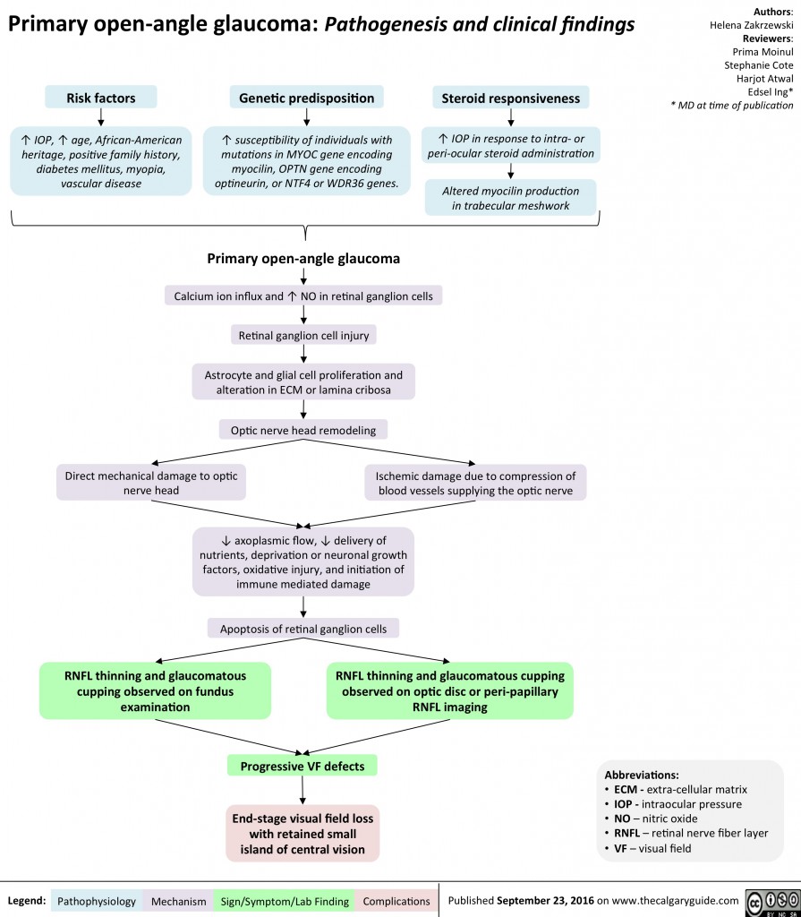 Primary Open Angle Glaucoma Pathogenesis And Clinical Findings