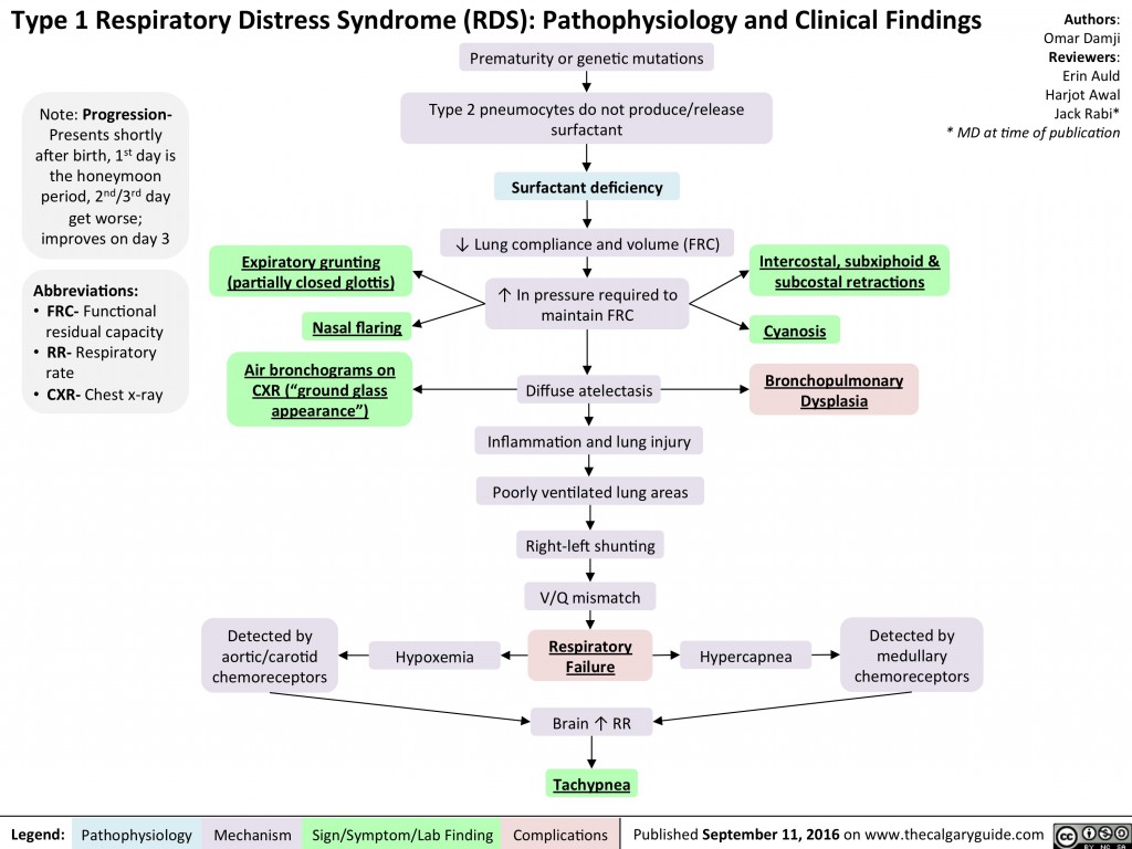 Type 1 Respiratory Distress Syndrome (RDS): Pathophysiology and ...