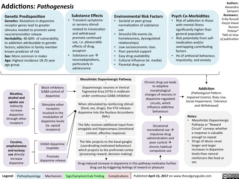 Addictions: Pathogenesis | Calgary GuideCalgary Guide
