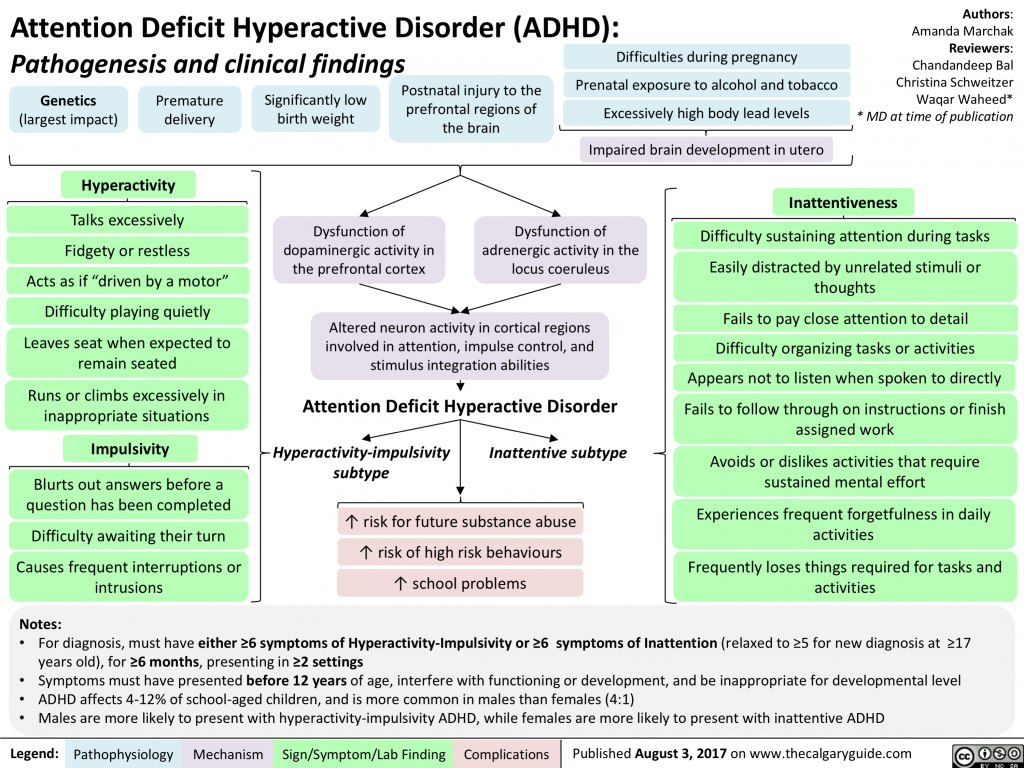 Attention Deficit Hyperactive Disorder (ADHD): Pathogenesis and ...