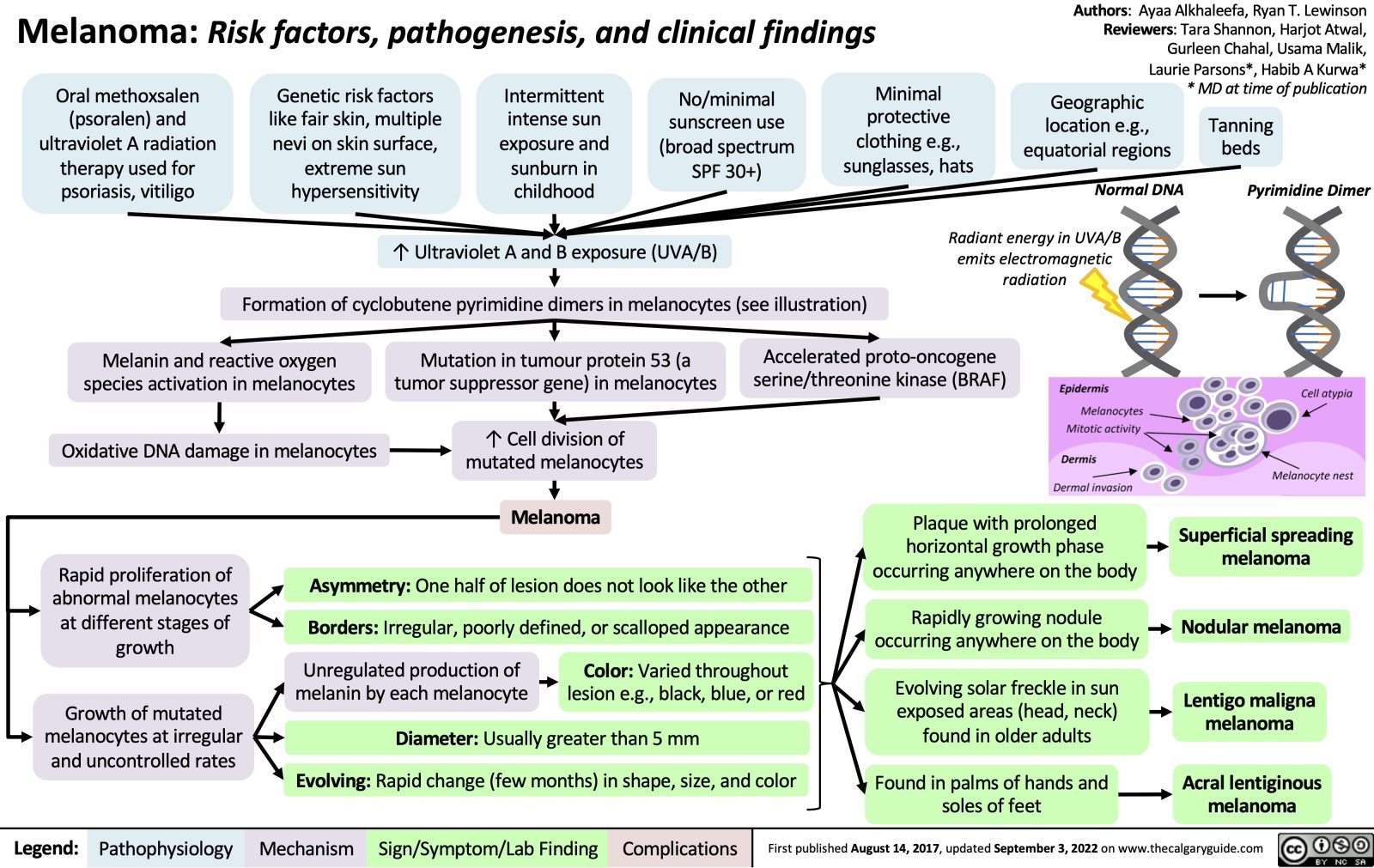 melanoma-pathogenesis-and-clinical-findings | Calgary Guide