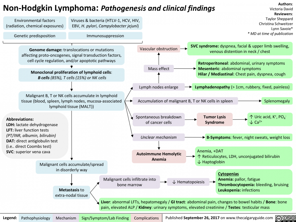 Non-Hodgkin Lymphoma: Pathogenesis and clinical findings | Calgary Guide