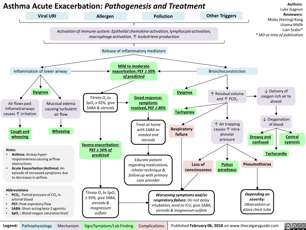 Asthma Acute Exacerbation: Pathogenesis and Treatment | Calgary Guide