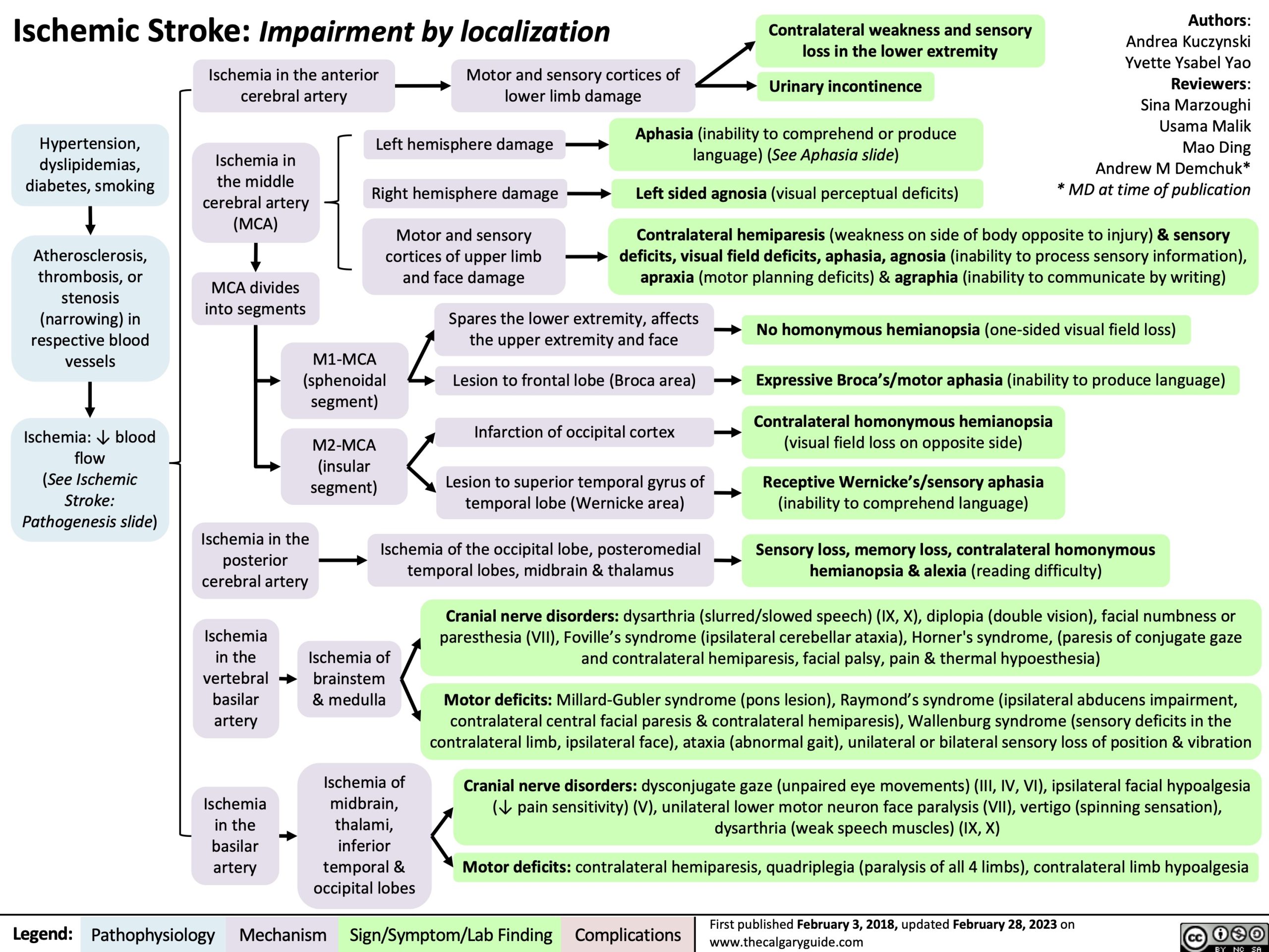 Ischemic Stroke Impairment By Localization Calgary Guide