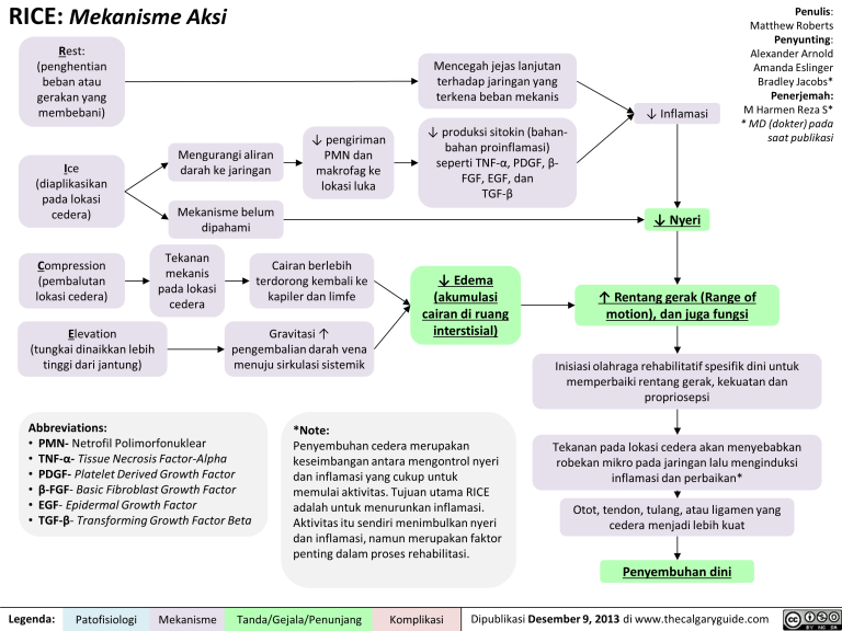 RICE: Mekanisme Aksi | Calgary Guide