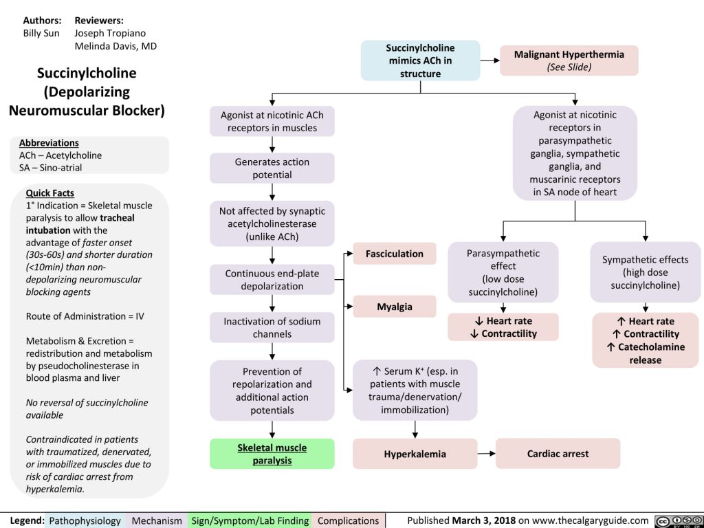 Succinylcholine | Calgary GuideCalgary Guide