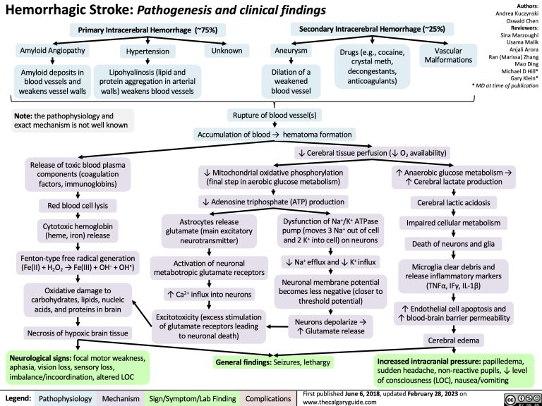 Hemorrhagic Stroke | Calgary Guide