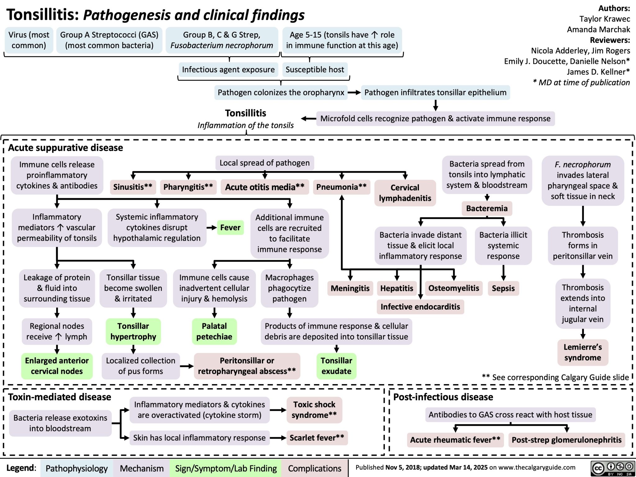 Tonsillitis Pathogenesis and clinical findings | Calgary Guide
