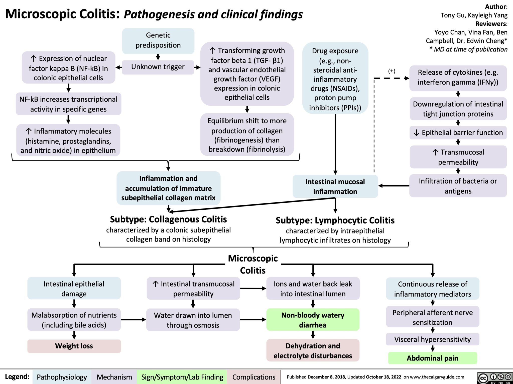 Microscopic Colitis: Pathogenesis and Clinical Findings | Calgary ...
