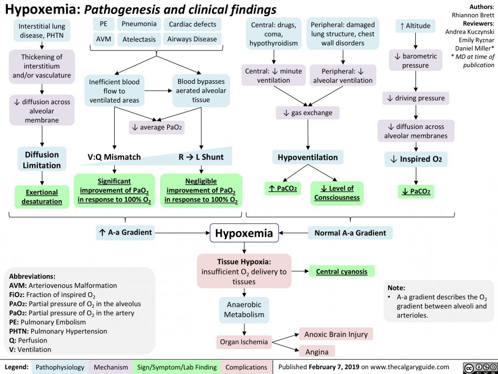 Hypoxemia: Pathogenesis and clinical findings | Calgary GuideCalgary Guide