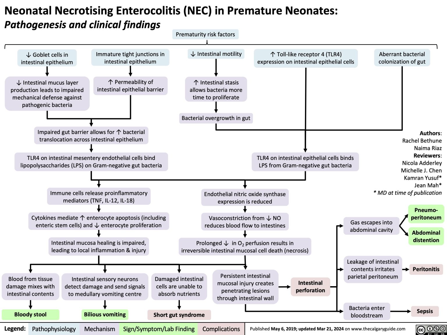 Neonatal Necrotising Enterocolitis in Premature Neonates | Calgary ...