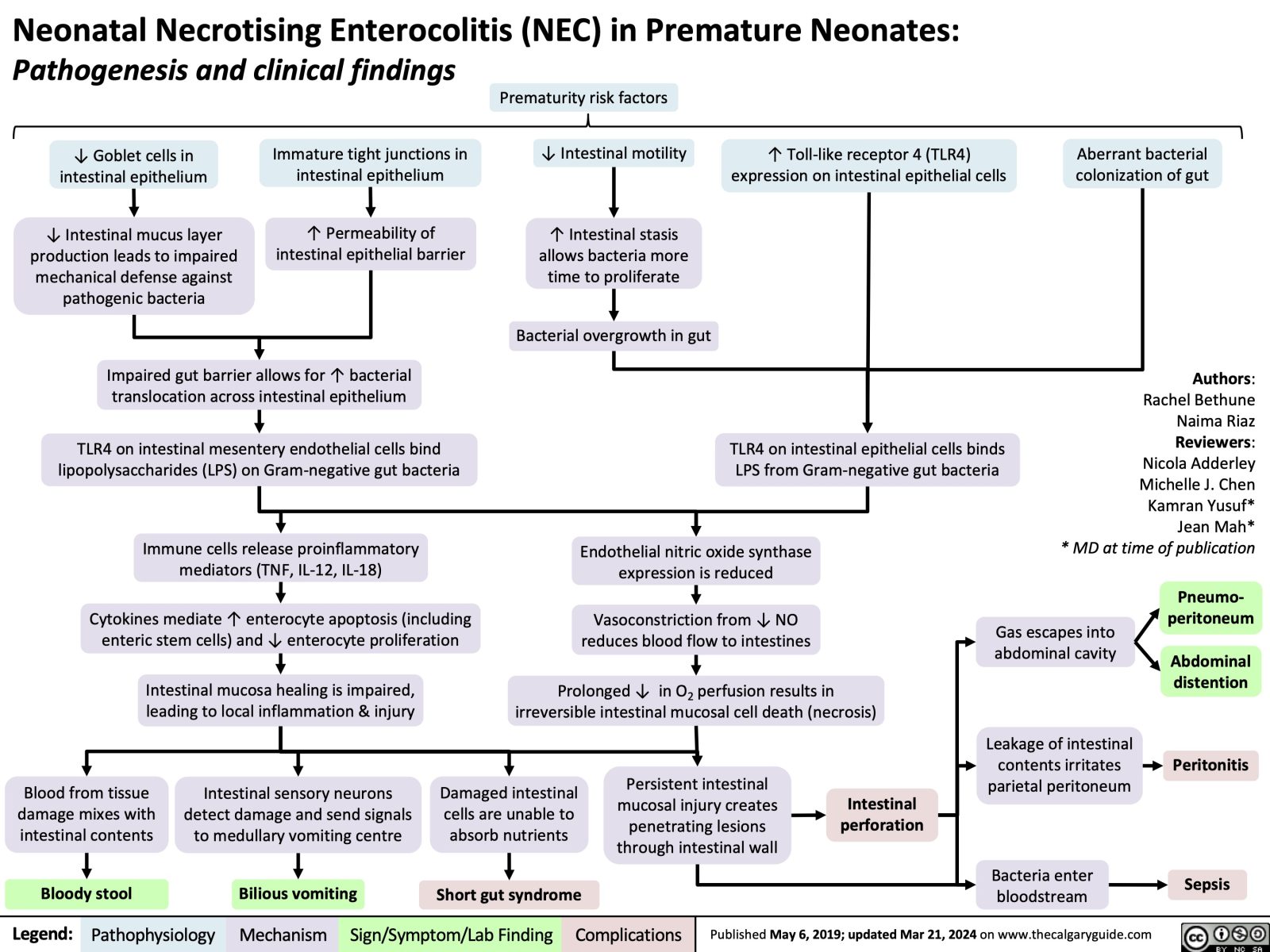 Neonatal Necrotising Enterocolitis in Premature Neonates | Calgary ...