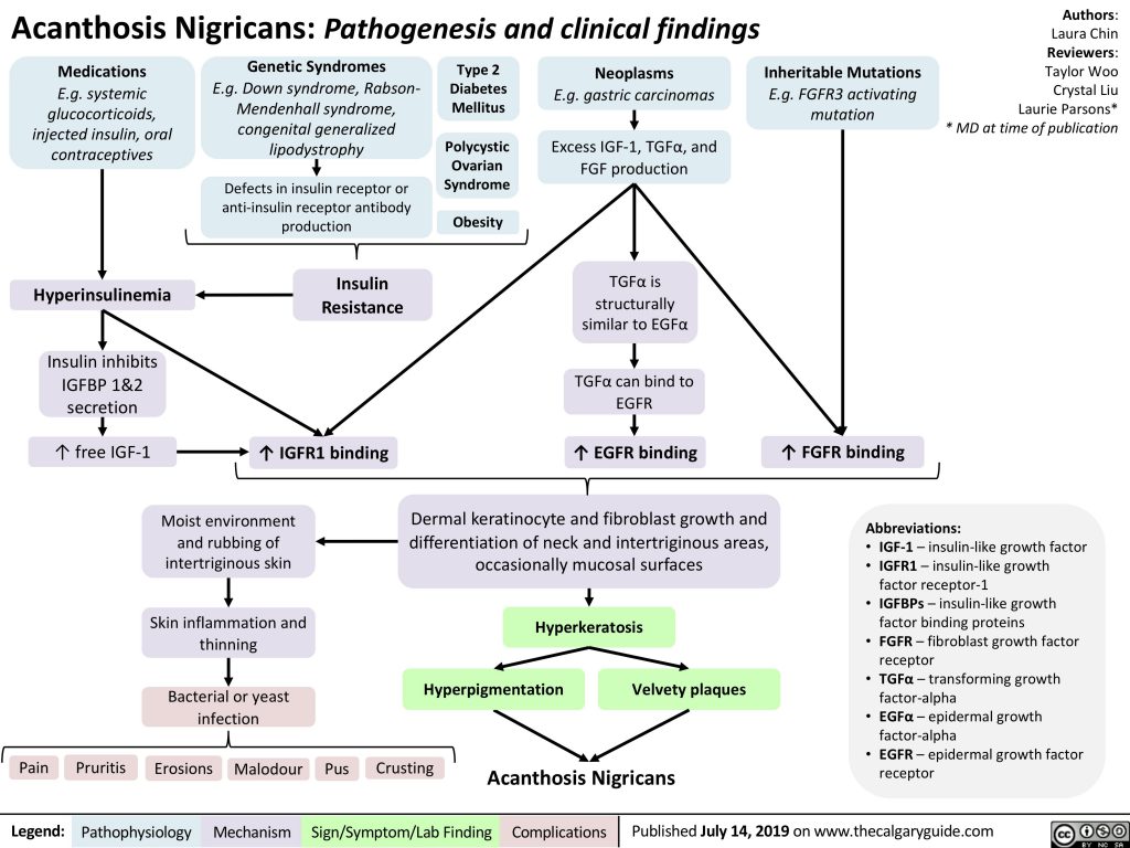 Acanthosis Nigricans: Pathogenesis and clinical findings | Calgary Guide