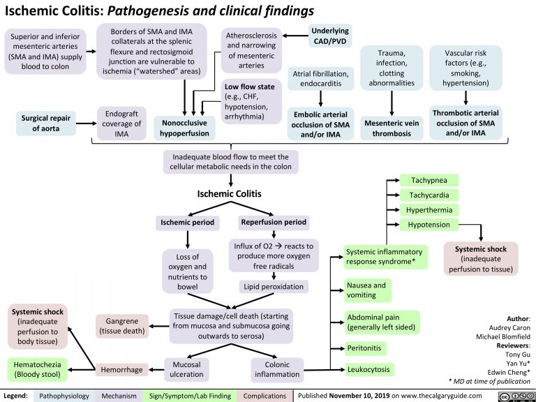 Ischemic Colitis: Pathogenesis and Clinical Findings | Calgary Guide