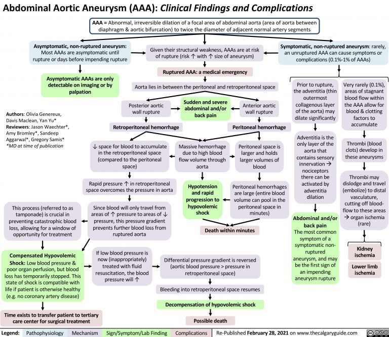 Abdominal Aortic Aneurysm (AAA): Clinical Findings and Complications ...
