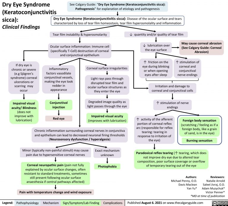 Dry Eye Syndrome: Clinical Findings | Calgary GuideCalgary Guide