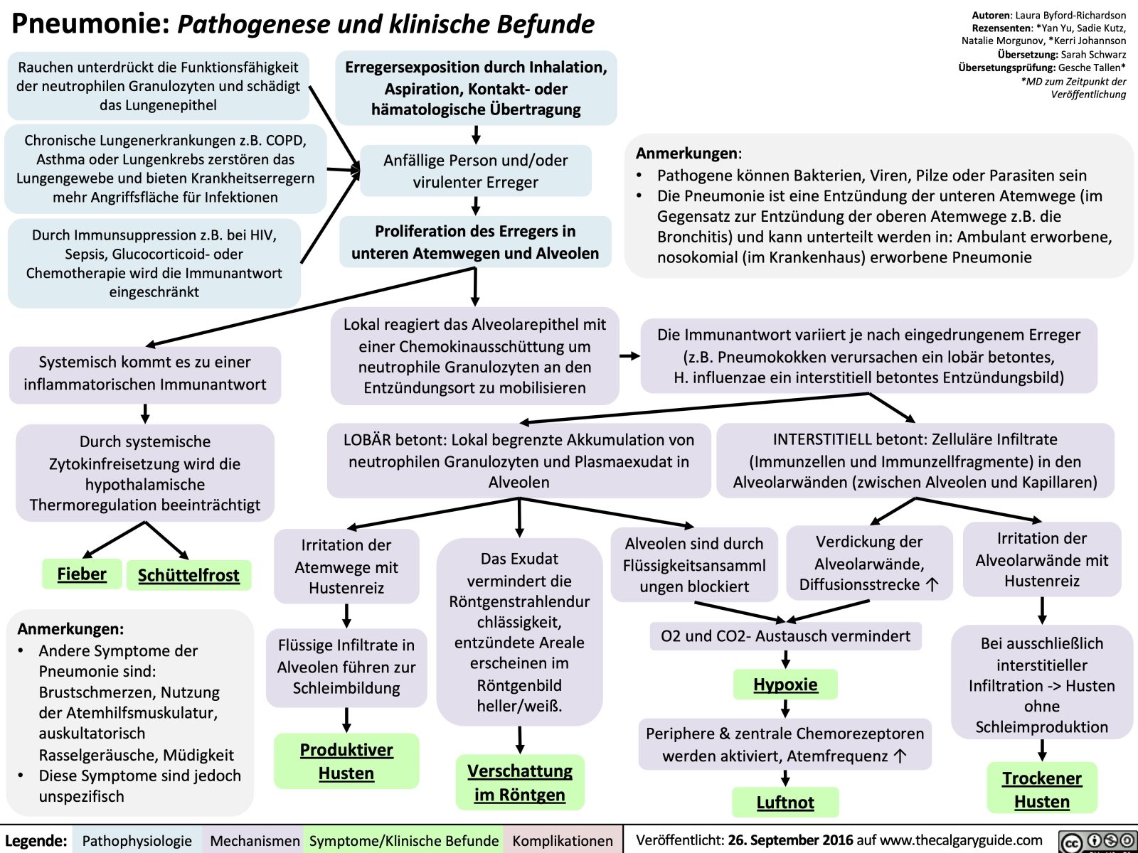 Pneumonie: Pathogenese und klinische Befunde | Calgary Guide