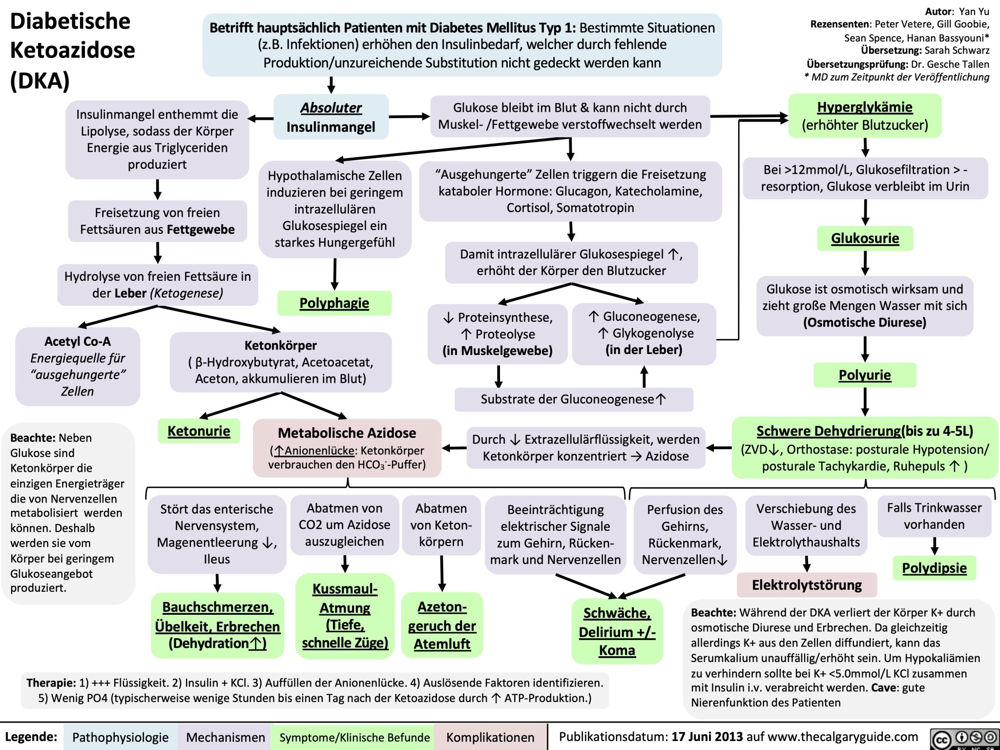 Diabetische Ketoazidose (DKA) | Calgary GuideCalgary Guide