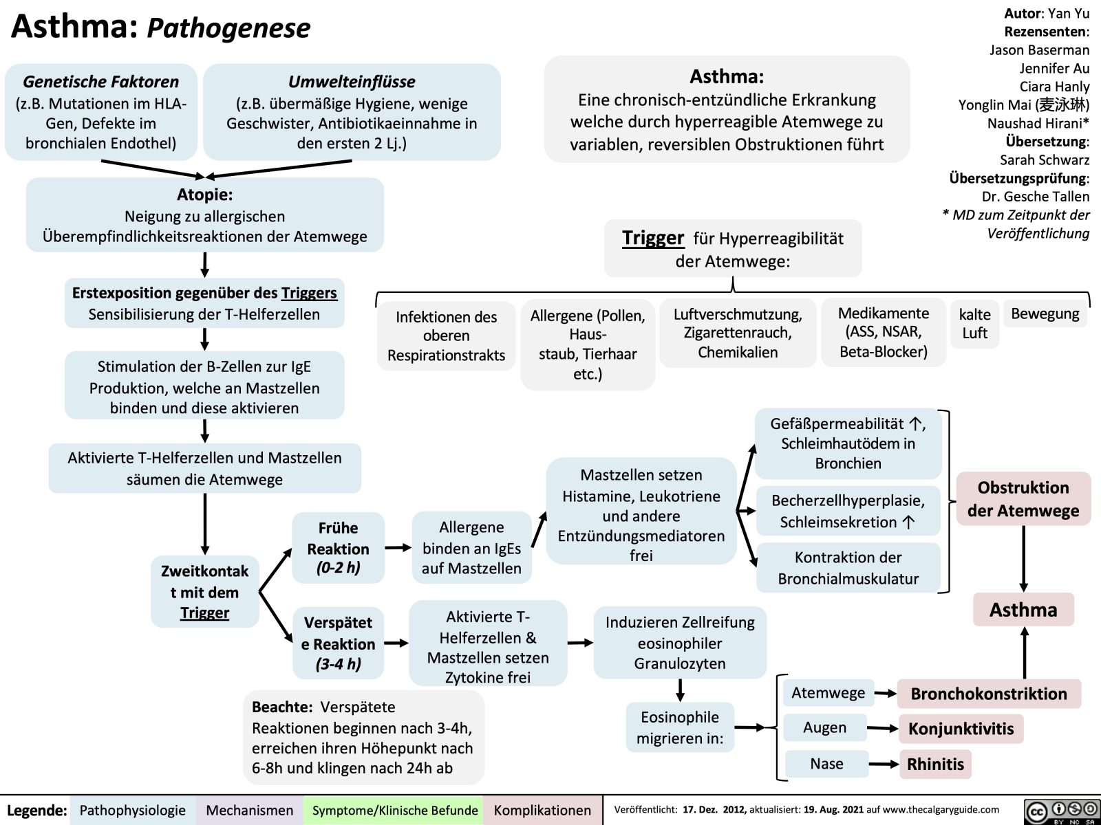 Asthma: Pathogenese | Calgary GuideCalgary Guide