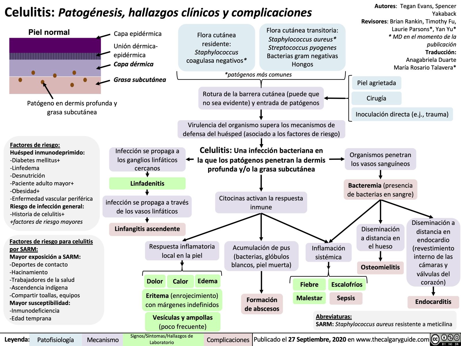 Celulitis: Patogénesis, hallazgos clínicos y complicaciones | Calgary GuideCalgary Guide